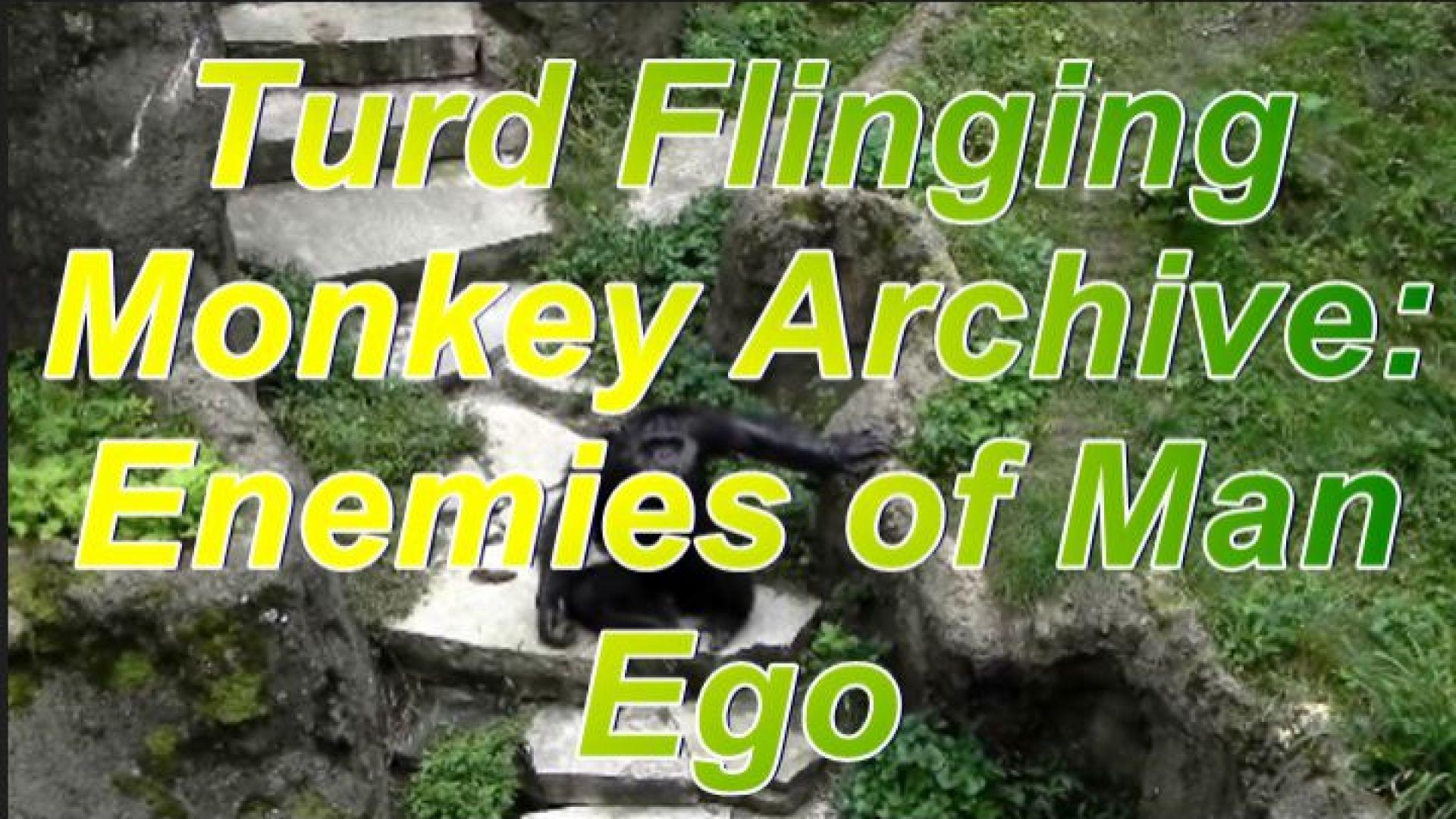 3. Turd Flinging Monkey Enemies of Man Ego (Mirror)