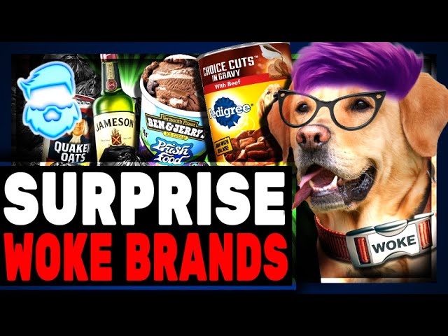 Top 10 Most WOKE Brands REVEALED & How People Are FIGHTING BACK!