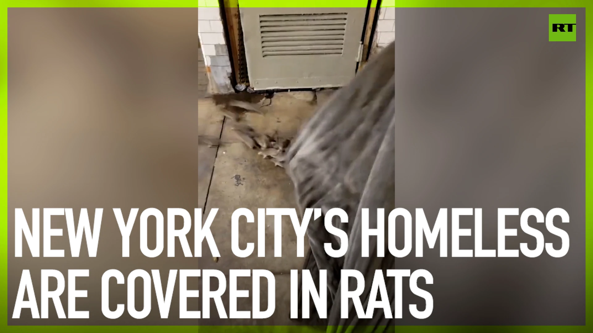 New York City’s homeless are covered in rats