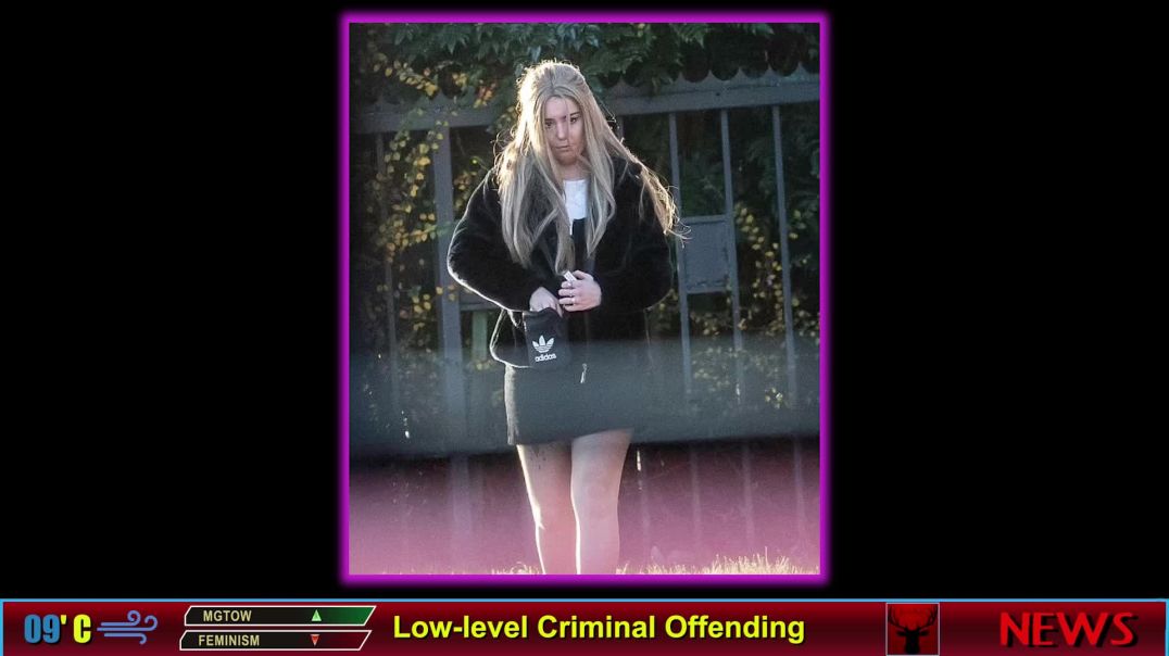 Low-level Criminal Offending