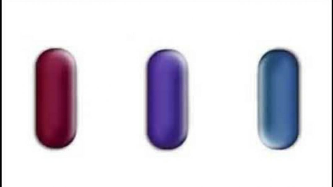 RACCONING RACCOON - DIFERENCIANDO AS PÍLULAS BLUE PILL_ PURPLE PILL ...