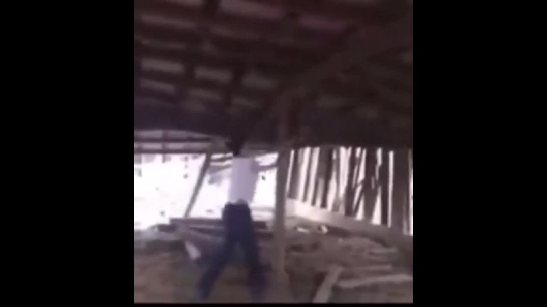 the Darwin awards