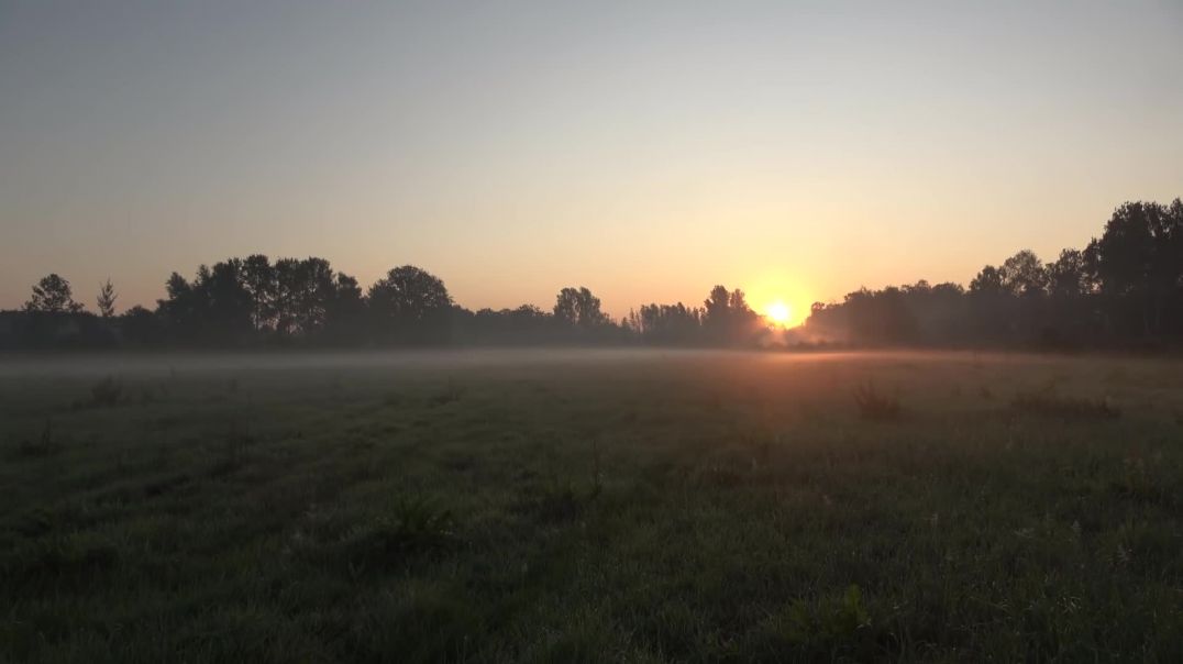 Meet the Founder of Stoicism - ZENO OF CITIUM