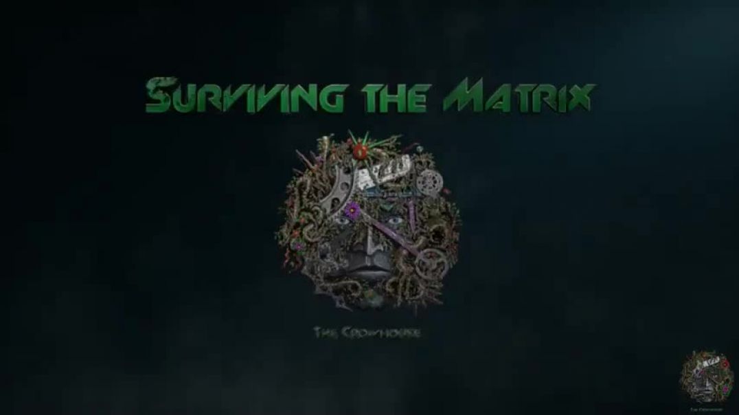 The Crow House - The Truth That Nobody Wants To Hear