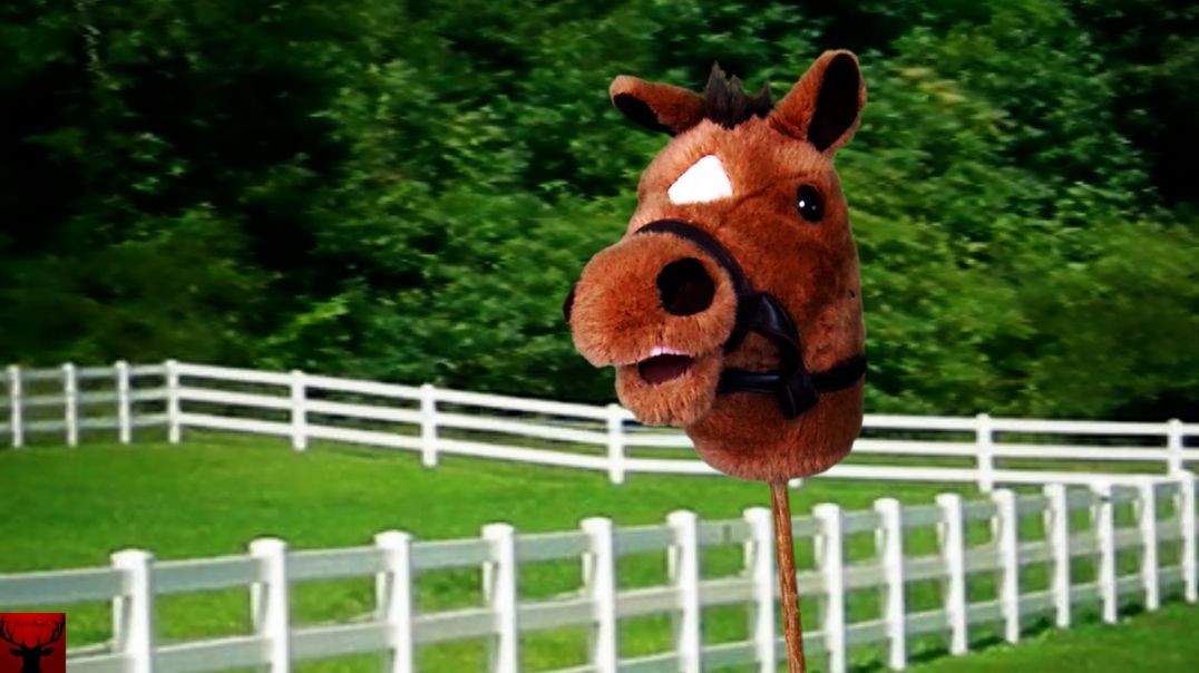 Hobby Horse Love