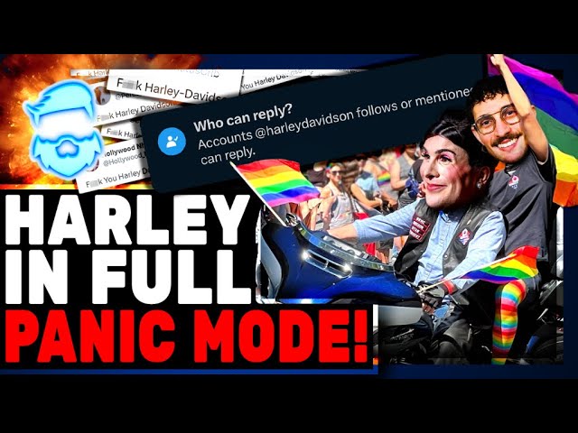 Harley Davidson MELTDOWN After Sean Strickland Calls Out Woke CEO ...