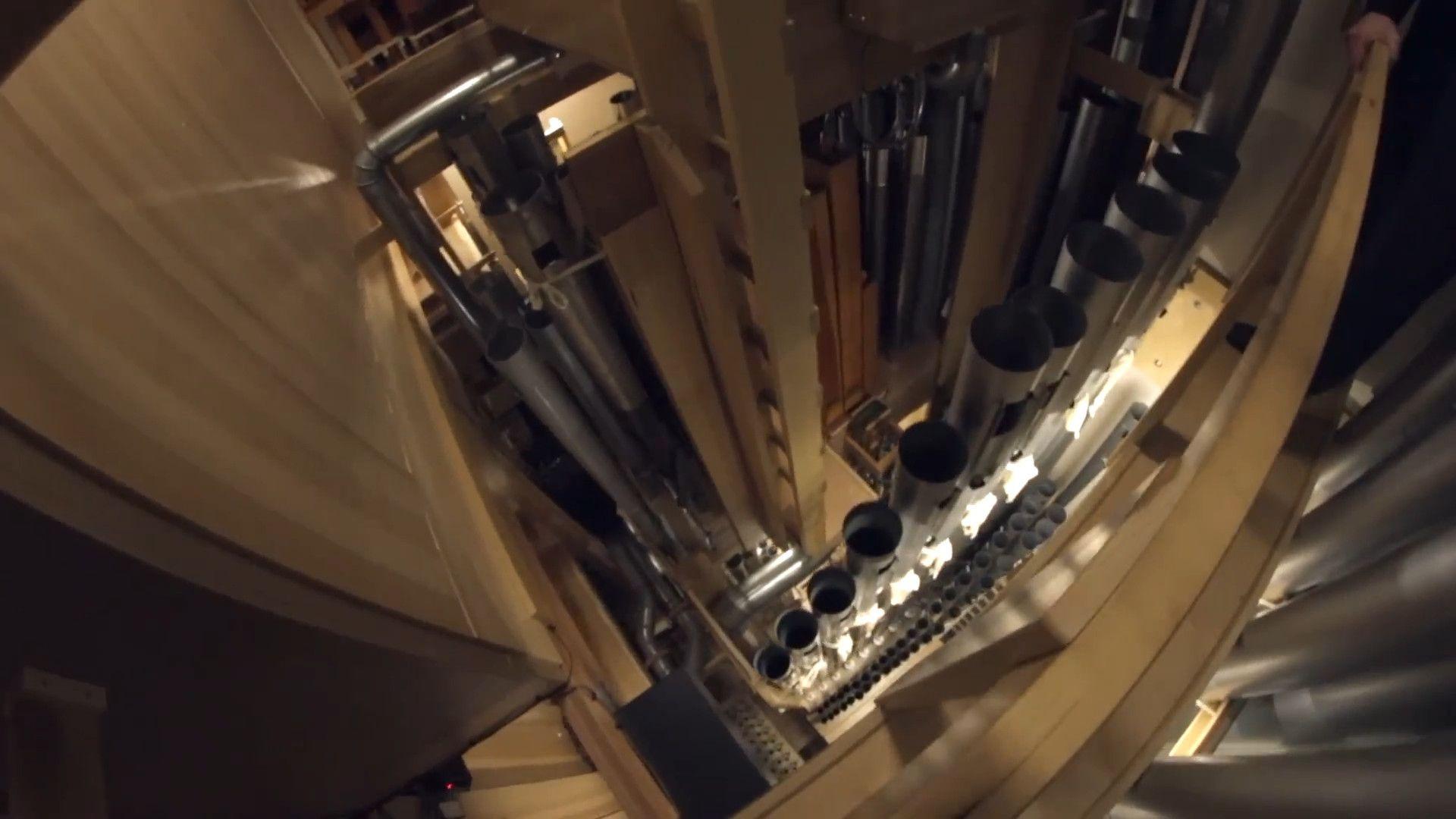 Pipe Organ (An instrument the size of a building)