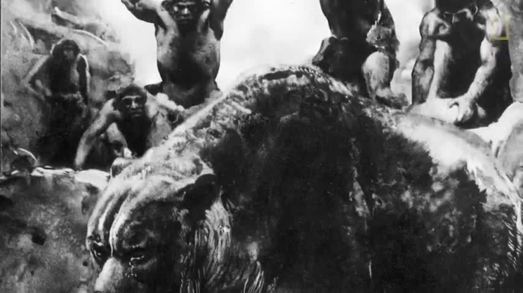 Discovery of Neanderthal Remains Reveals Two Distinct Lineages in Late ...