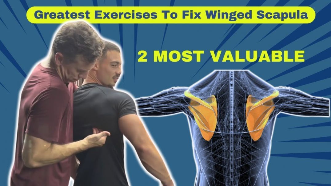 Greatest Exercises To Fix Winged Scapula - & Fix Acute Shoulder Pain ...