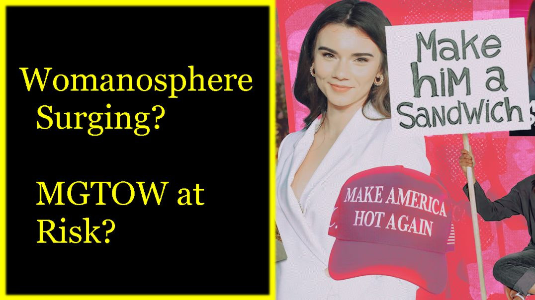 MGTOW: My thoughts on the Womanosphere