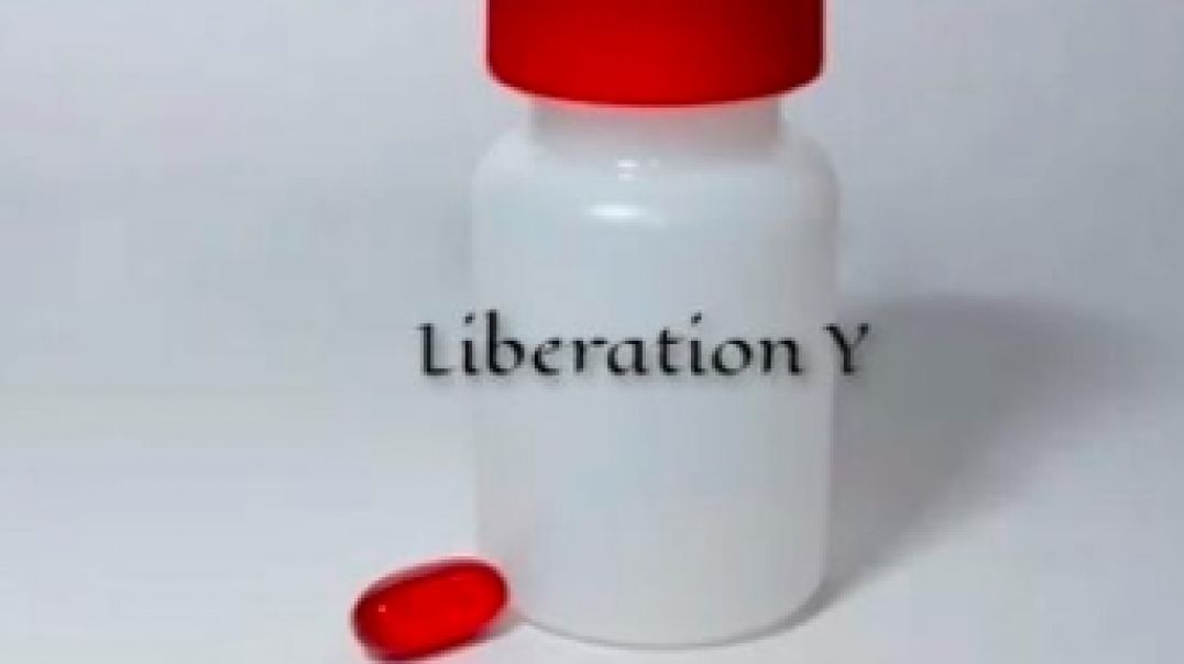 Non-Player characters: Emotional Entrapment in the Matrix --> MGTOW