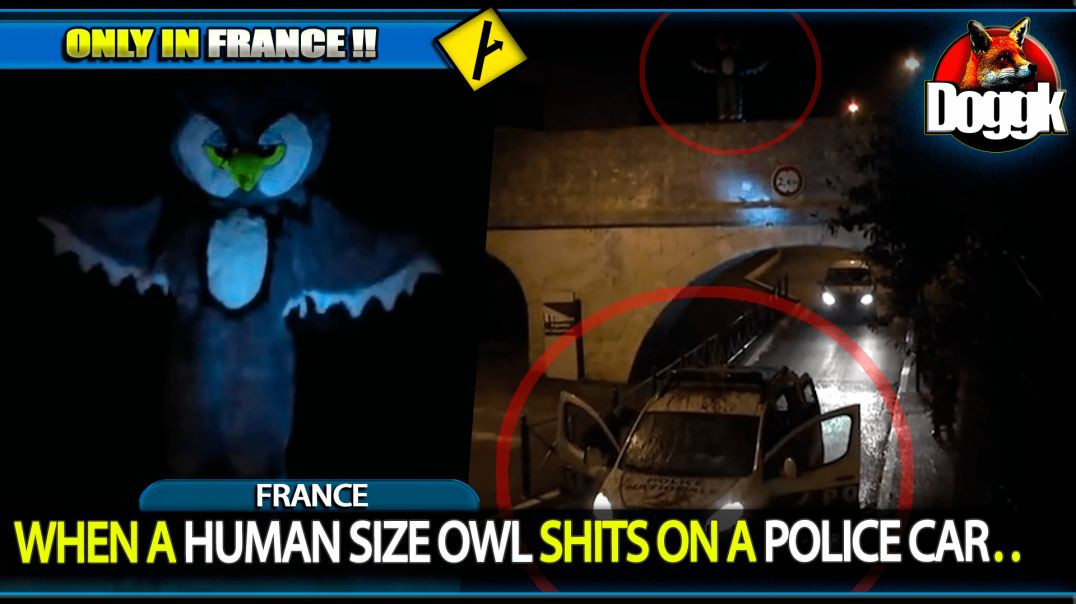 WHEN A HUMAN SIZE OWL SHITS ON A POLICE CAR.. (FRANCE) >> FUNNY AF